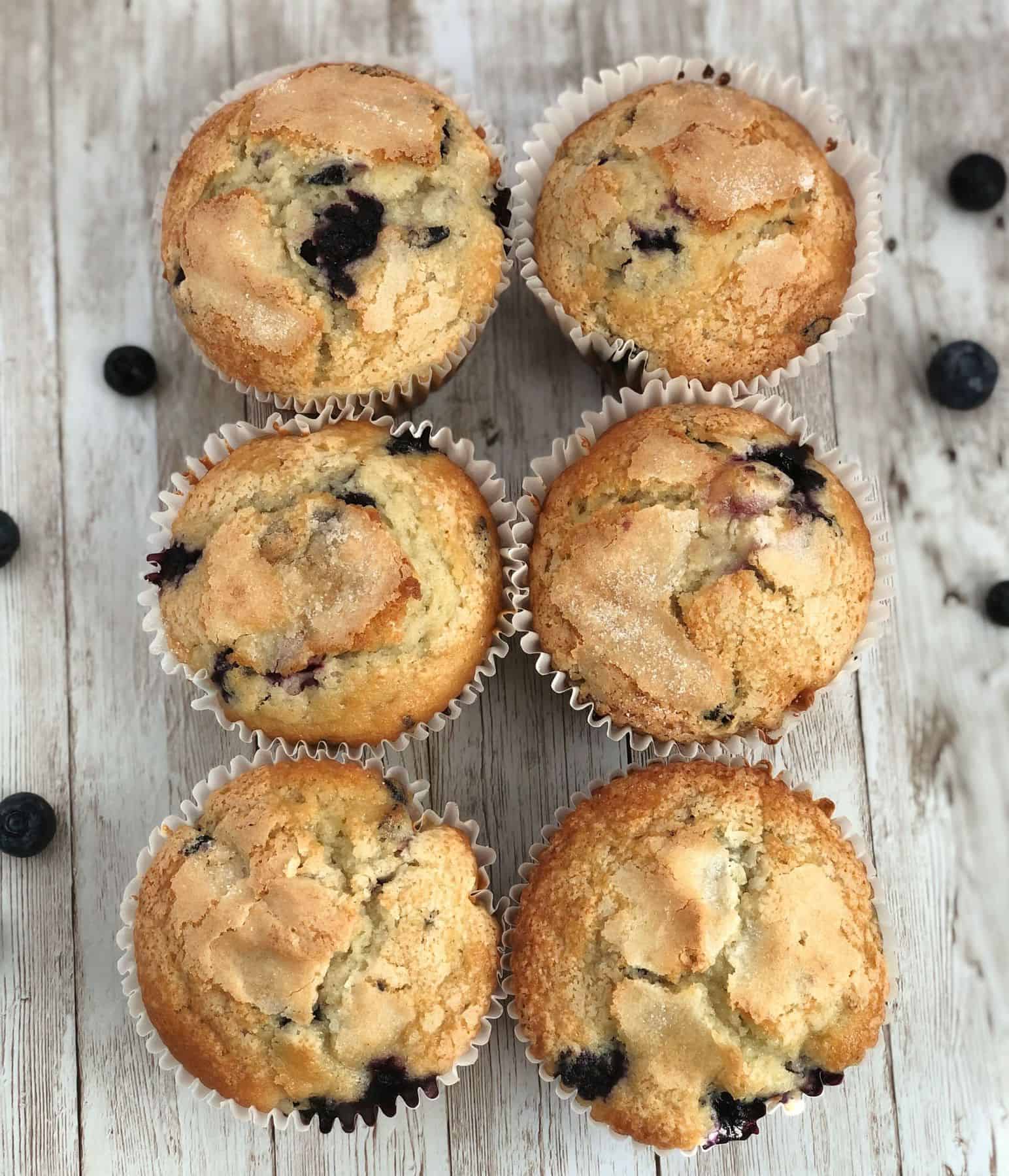 Jumbo Blueberry Muffins Stephanies Sweet Treats Jumbo Blueberry Muffins Stephanies Sweet Treats