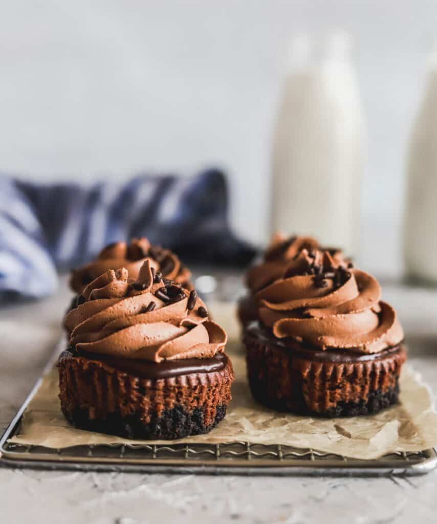 Mini Chocolate Cheesecakes - Stephanies Sweet Treats