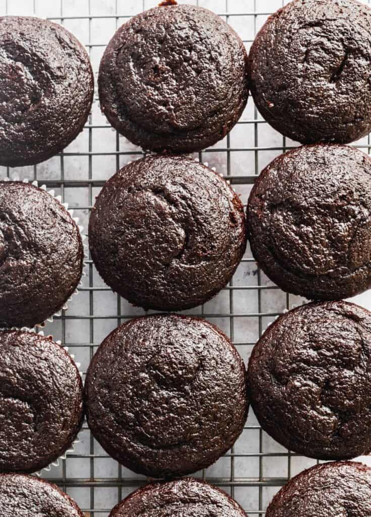 Chocolate Fudge Cupcakes | Stephanies Sweet Treats | Stephanie Rutherf