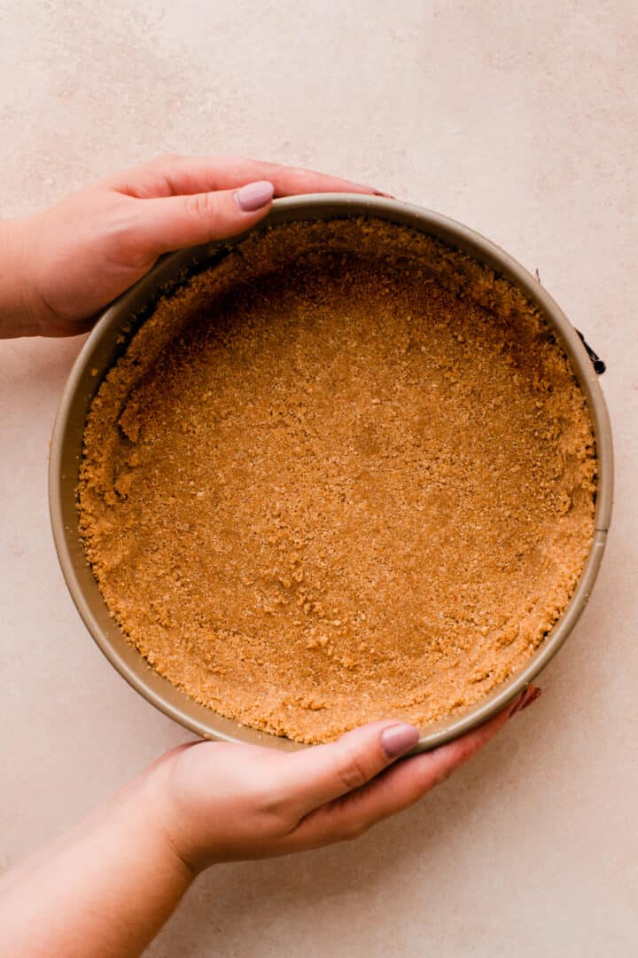 M&M Cheesecake - Stephanie's Sweet Treats