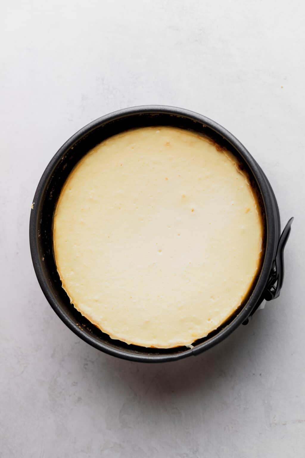 Small Cheesecake +VIDEO - Stephanie's Sweet Treats