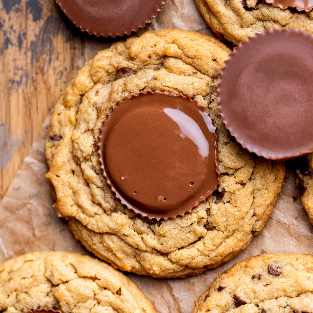 Reese's Cup Peanut Butter Cookies - Stephanie's Sweet Treats