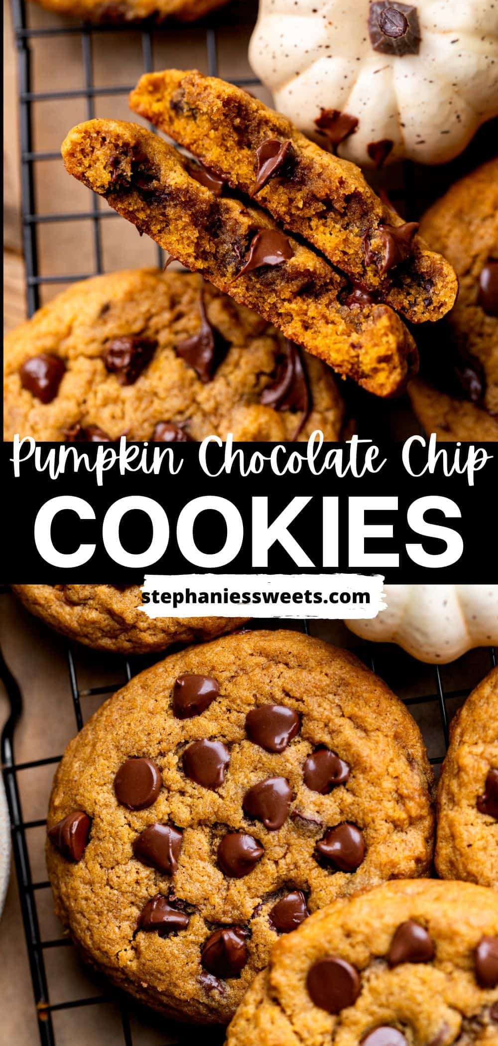 Pumpkin Chocolate Chip Cookies - Stephanie's Sweet Treats
