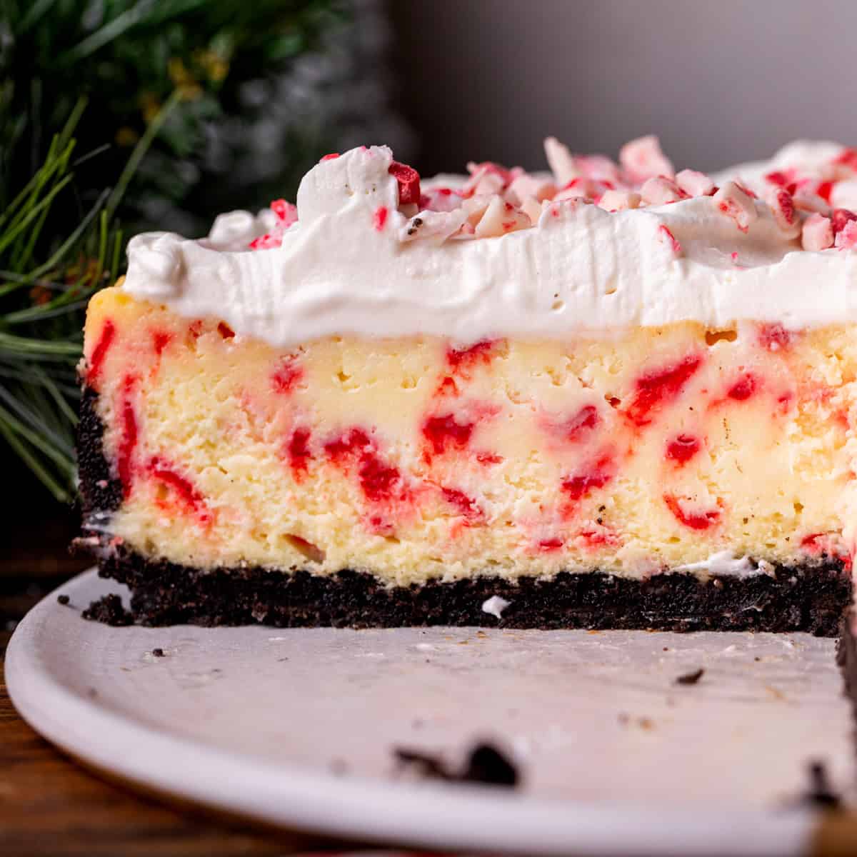 Sugar Cookie Cheesecake - Stephanie's Sweet Treats